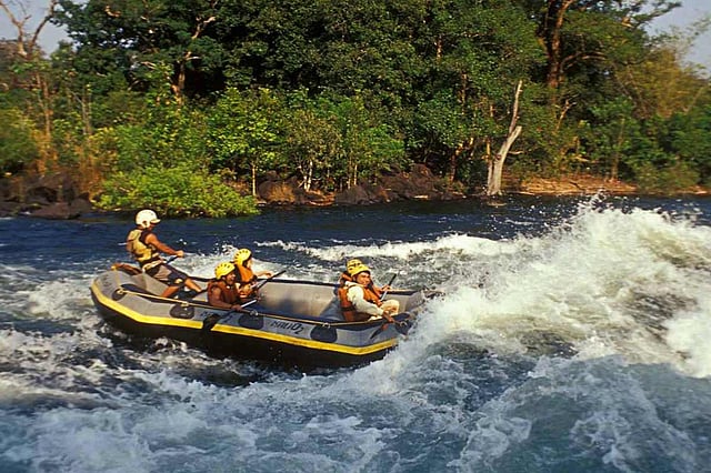 Virgin forests to elusive panthers: A dream journey through Karnataka’s ...