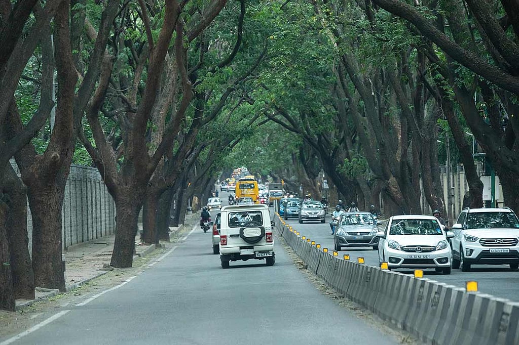 Cutting trees to widen Sankey Road won't solve traffic woes: Bengaluru ...