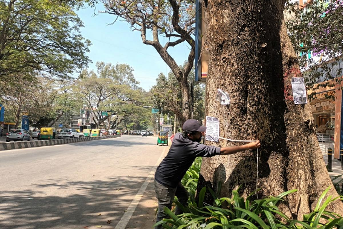 Bengaluru’s Sankey Road Flyover Project to result in cutting of 55 trees