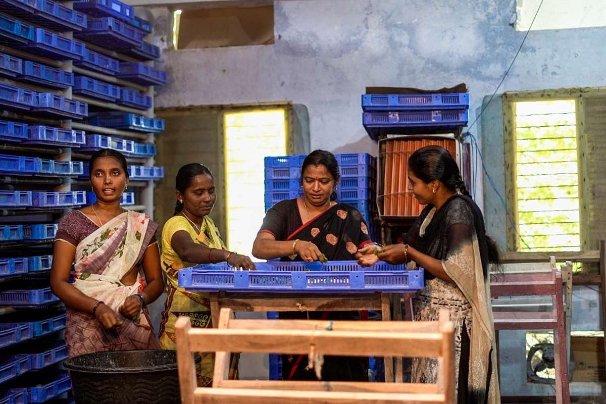 Meet Shilpa, Telangana entrepreneur who runs a sericulture unit powered ...