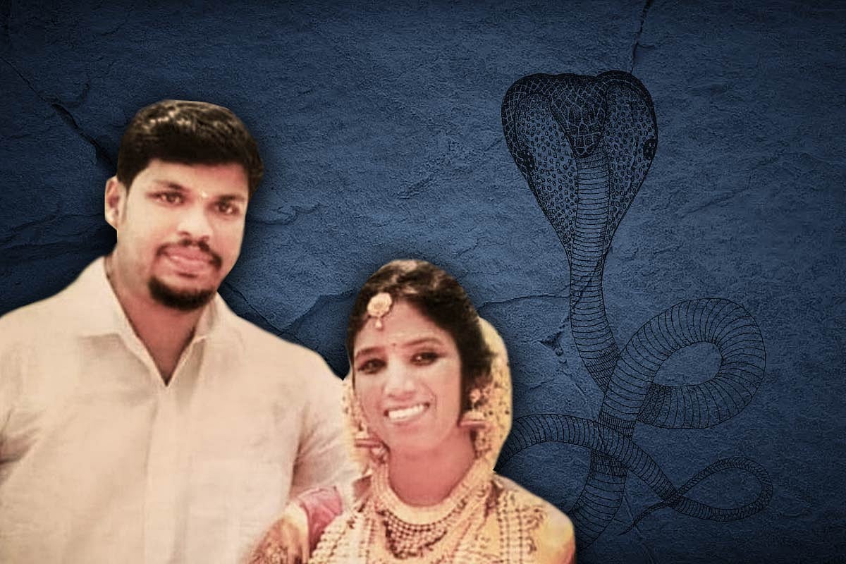 For months, Sooraj looked up snakes to kill Uthra, his chilling YouTube ...