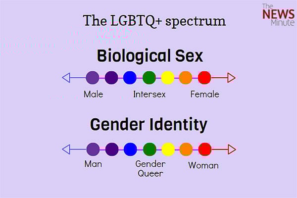 Gender Identity Spectrum Gender Identity
