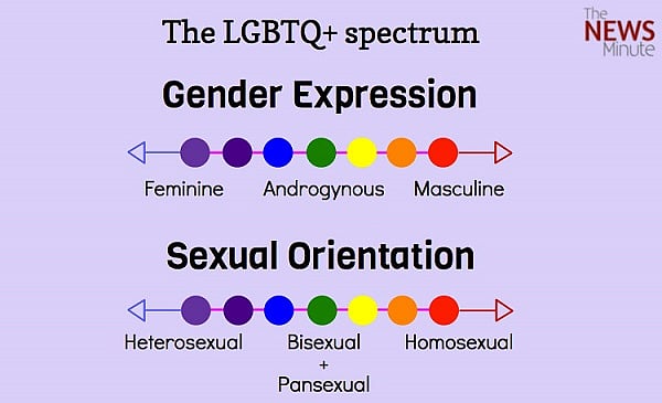 Understanding LGBTQ+: An exhaustive explainer on gender and sexual ...