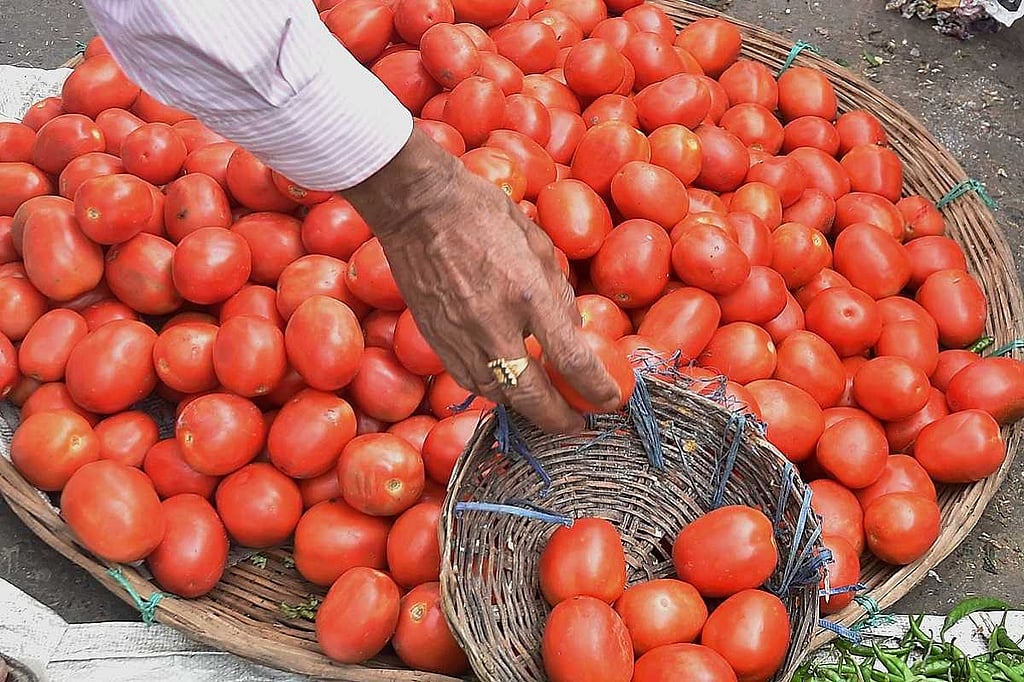 TN govt outlets sell tomatoes at Rs 60 per kg