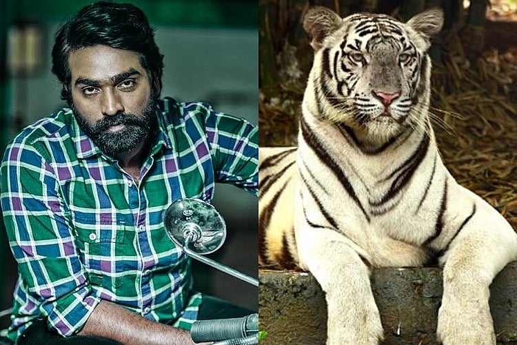 Actor Vijay Sethupathi adopts two white tigers from Chennai zoo