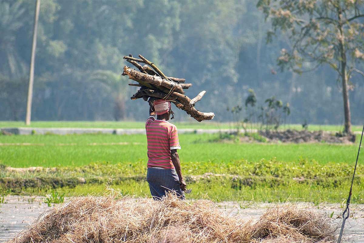 TN recorded 1,272 caste crimes in 2021, 4 districts refused to share data