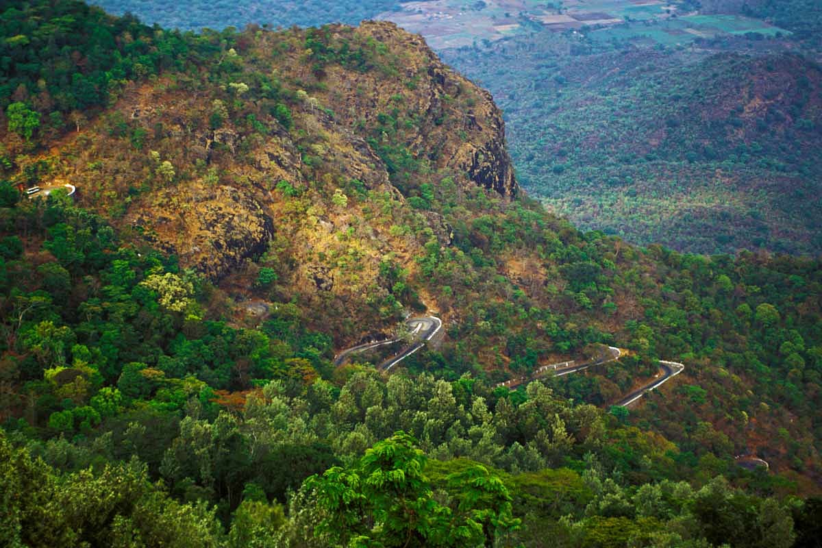 From trekking trails to scenic views, visit Yercaud to be close to nature