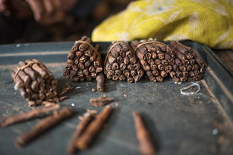 Kerala: Touring students enter narcotics office seeking matchbox to ...