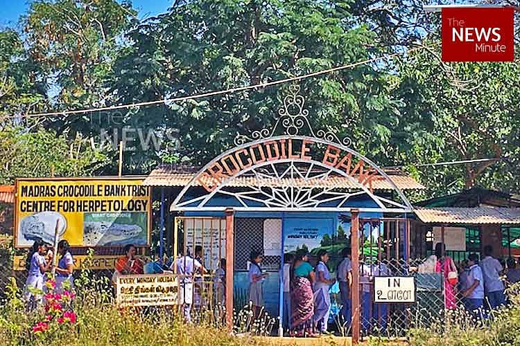 Croc on: 42 years later, Madras Crocodile Bank is an ocean of cool reptiles