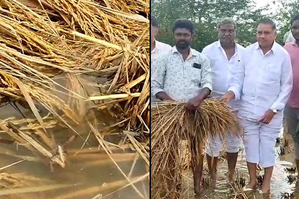 Cyclone Mandous aftermath: one dead, over 5000 hectares crop damaged in ...
