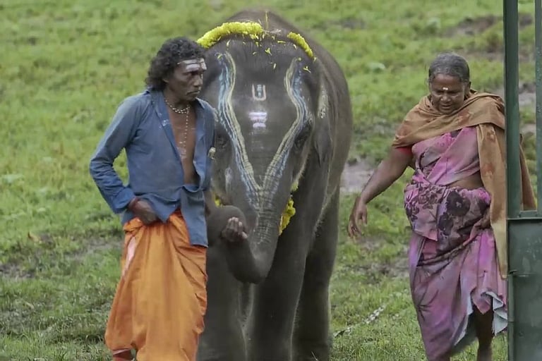 The Elephant Whisperers: Moving docu on a tribal couple taking care of ...