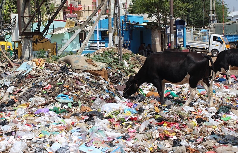 Waste is wealth: How the garbage 'clearing' mafia grew over the years ...