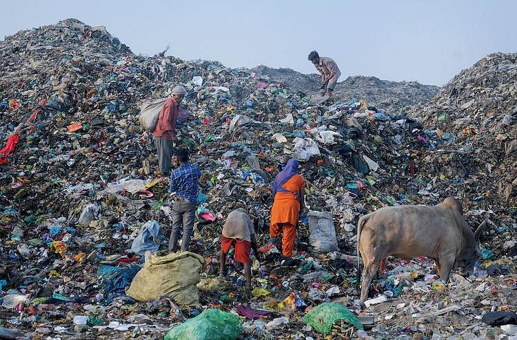 TNM Explainer: What is bio mining and can it solve Chennai’s garbage ...