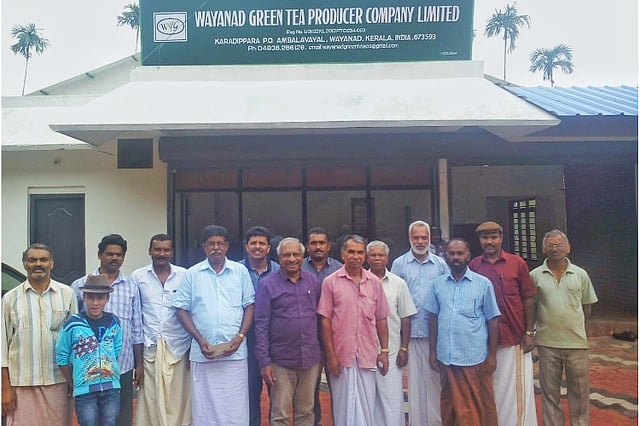How tea growers in Wayanad joined hands to fight exploitation by middlemen