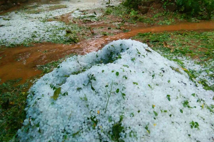 Worst hailstorm in 25 years hits Wayanad, roads covered with thick ice ...