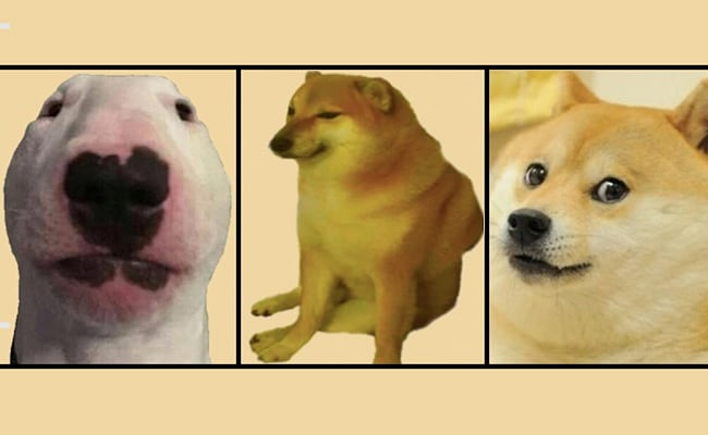 Doge Meme Dog Funny Face