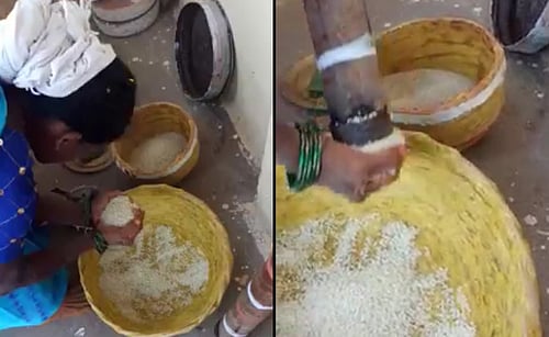 Kotha Panduga: The festival of new grains celebrated by farmers in ...