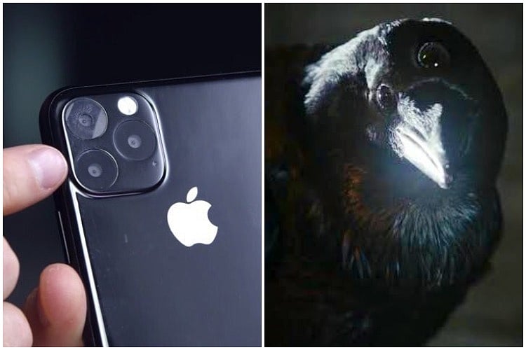 Is it an induction stove? Is it a three-eyed-raven? No, it's iPhone 11 Pro