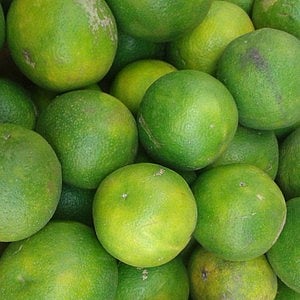 Nine lemons with 'divine powers' fetch Rs 61K in Tamil Nadu temple