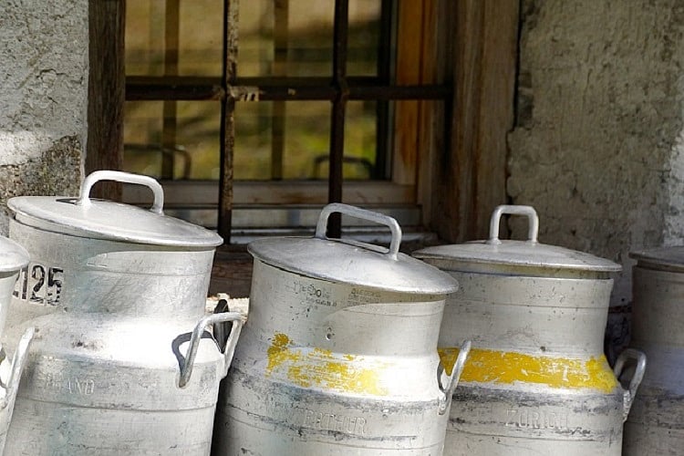 Andhra milk adulteration: Four dead, seven in critical condition