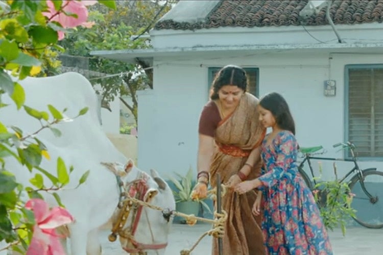 Cow or a bull?: TDP's faux paus in election campaigning video is hilarious