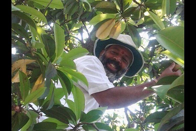 Green hero: Meet the Malayali businessman who's created 40 forests in 7 ...