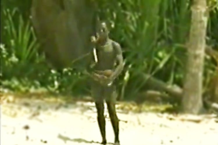 Who are the Sentinelese? 60,000-yr-old tribe in focus after American ...