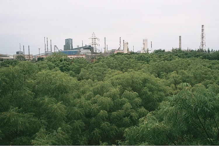 Sterlite shut down: TNPCB orders closure of Thoothukudi plant amidst ...