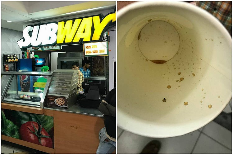 Cockroach horror in Subway outlet: Hyd customer finds live ones in cold ...