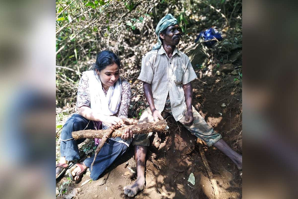 Why native tubers are a source of sustenance and pride for Kerala ...