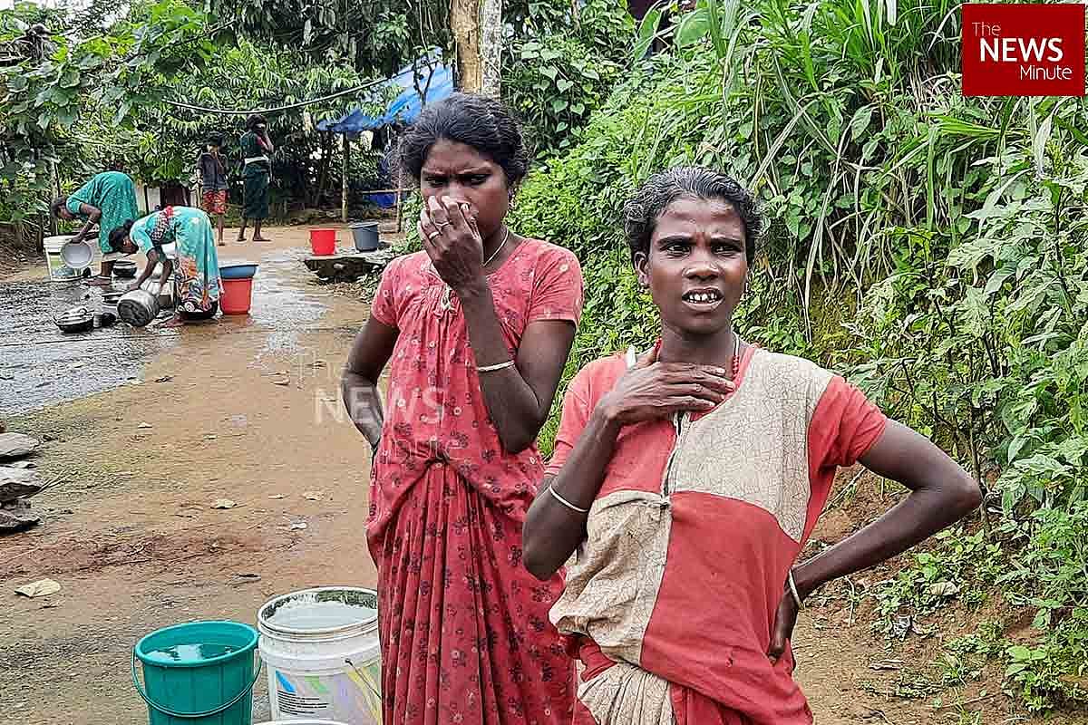 The labour for land: Wayanad's tribal people need to become owners to ...