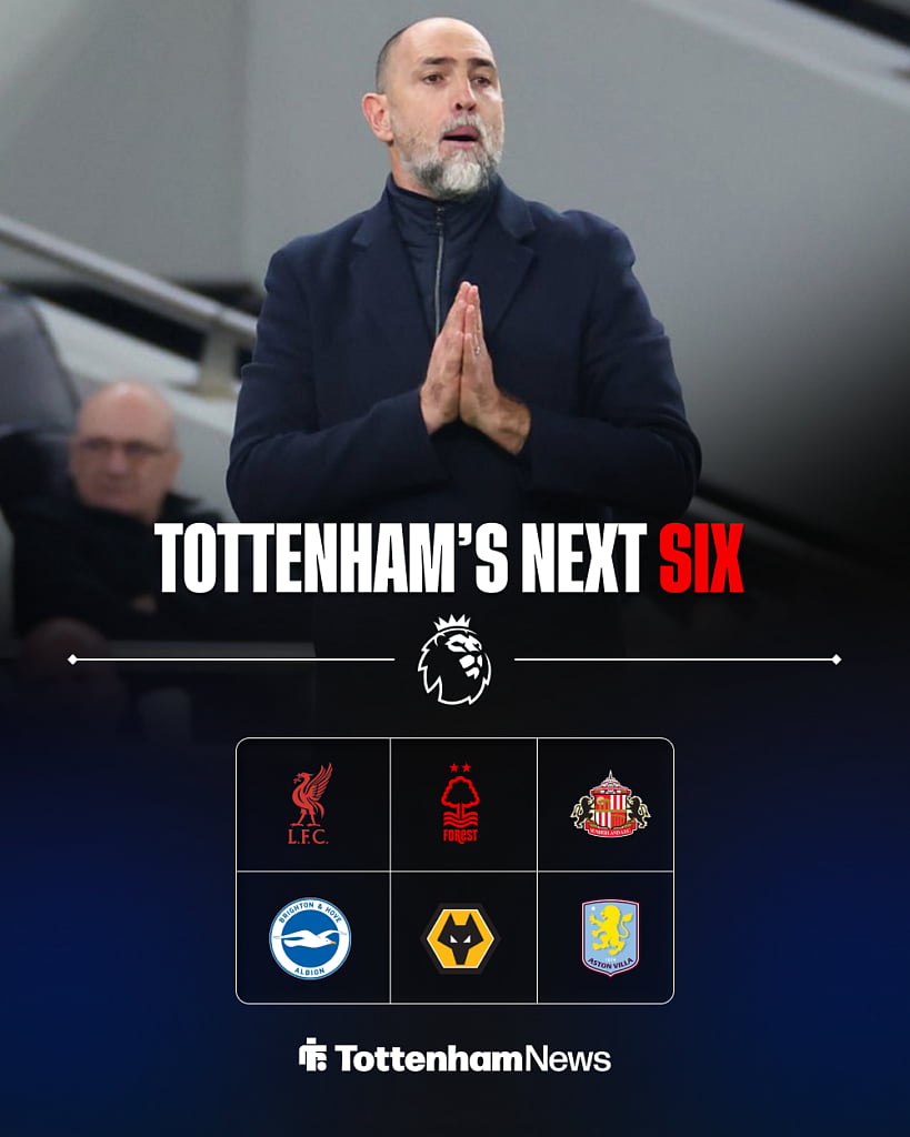 Tim Sherwood shares what Tottenham chiefs secretly think as Igor Tudor ...