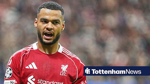 Cody Gakpo: The Tottenham-linked star who models game around Arsenal icon