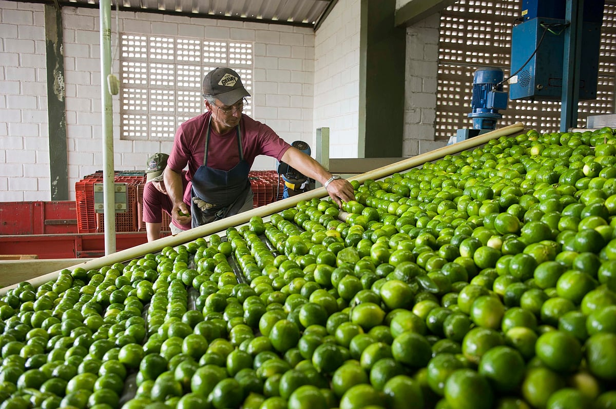 Maersk launches New Visibility Tool ‘Captain Peter’