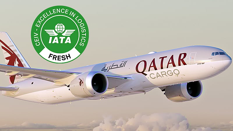 Qatar Airways Cargo First in World to Complete IATA CEIV Certifications ...