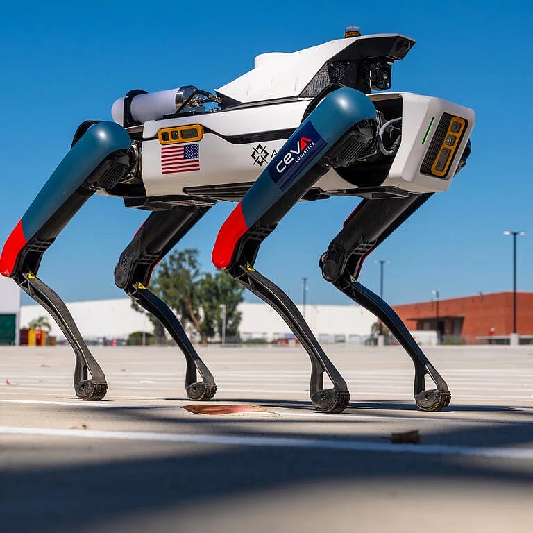 TLME Award Winner Brings New-Age Robots to Supply Chain