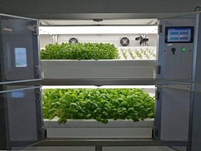 ClassNK Awards First-ever Notation for Installing Hydroponic Vegetable ...