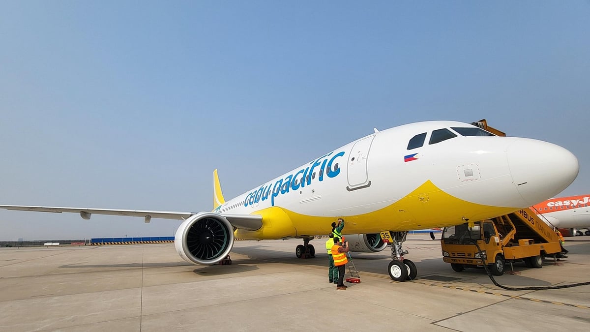 DOTr Orders Airlines to Prevent Passport Tampering Amid 'Punit Passport ...