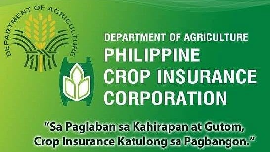 PCIC unveils weather-based insurance to boost farm resilience