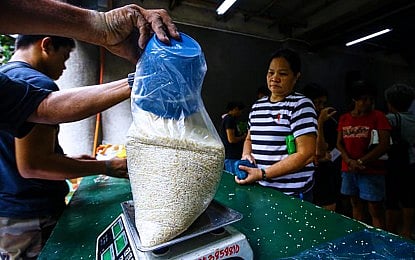 P58/kilo MSRP for Imported Rice to Be Implemented from January 20