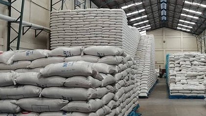 Philippines confronts escalating rice supply deficit due to rising ...