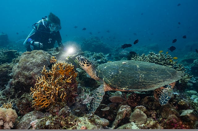 Ocean protector visits Verde Island Passage