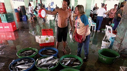 Gov't fuel subsidy to boost fisherfolk’s catch amid peak fishing season