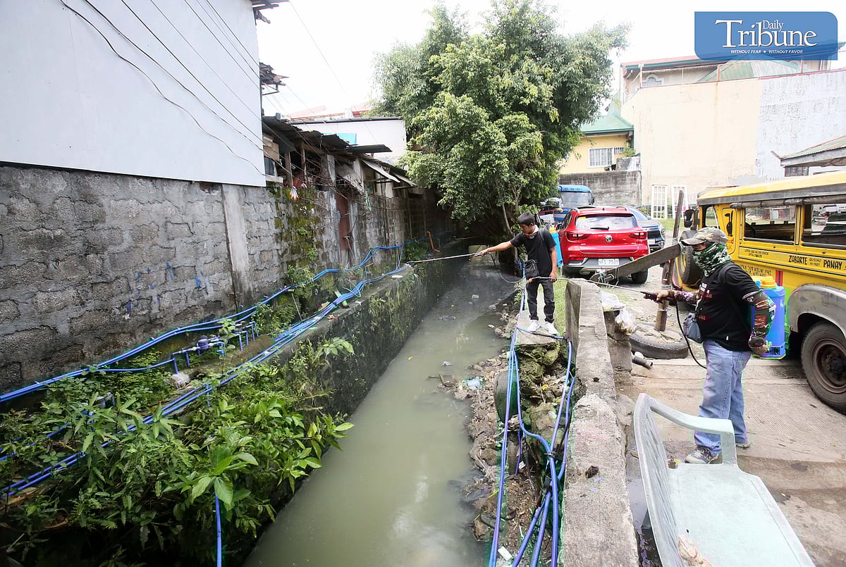 Experts push vector control to eliminate dengue
