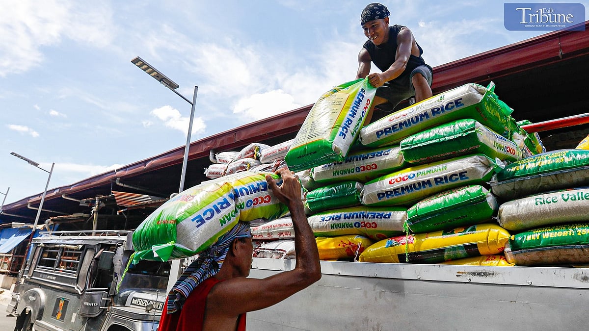 Lawmakers eye sustainable solutions to keep rice prices down
