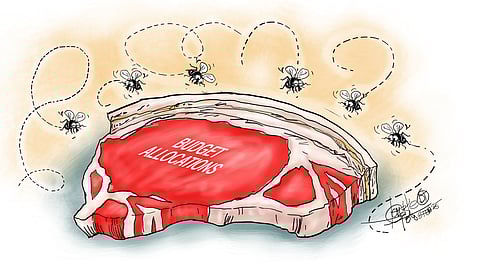 Pork barrel politics