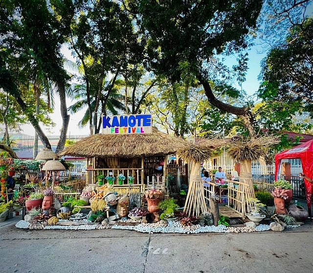 Moncada Kamote Festival: The sweet taste of resilience and tradition
