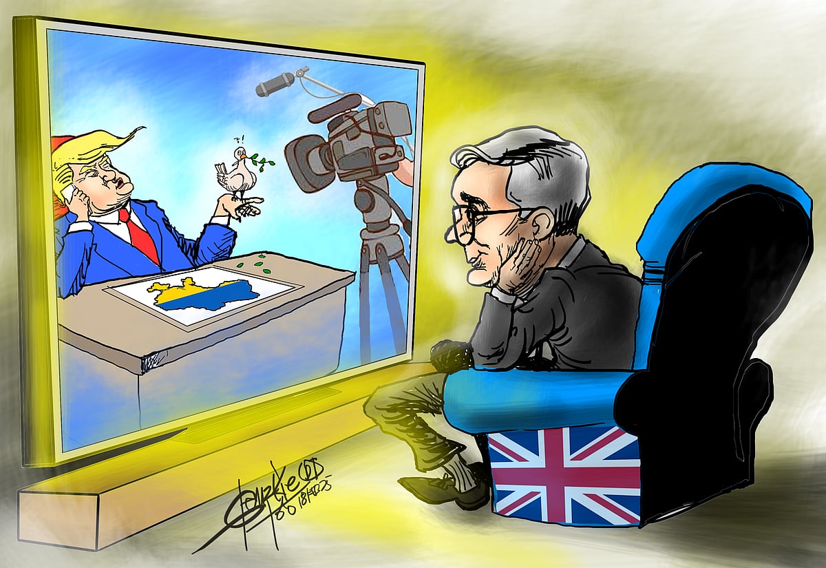 Cats marching in formation