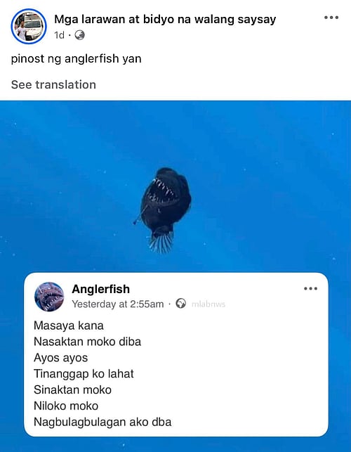 Tragic Anglerfish Death Sparks Internet Frenzy: From Tears to Memes