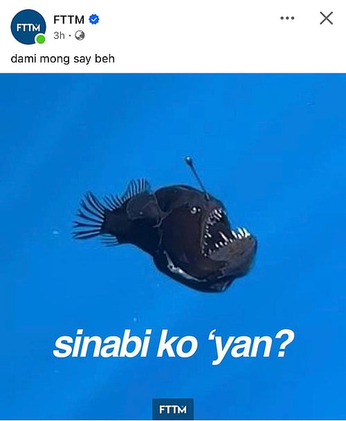 Tragic Anglerfish Death Sparks Internet Frenzy: From Tears to Memes